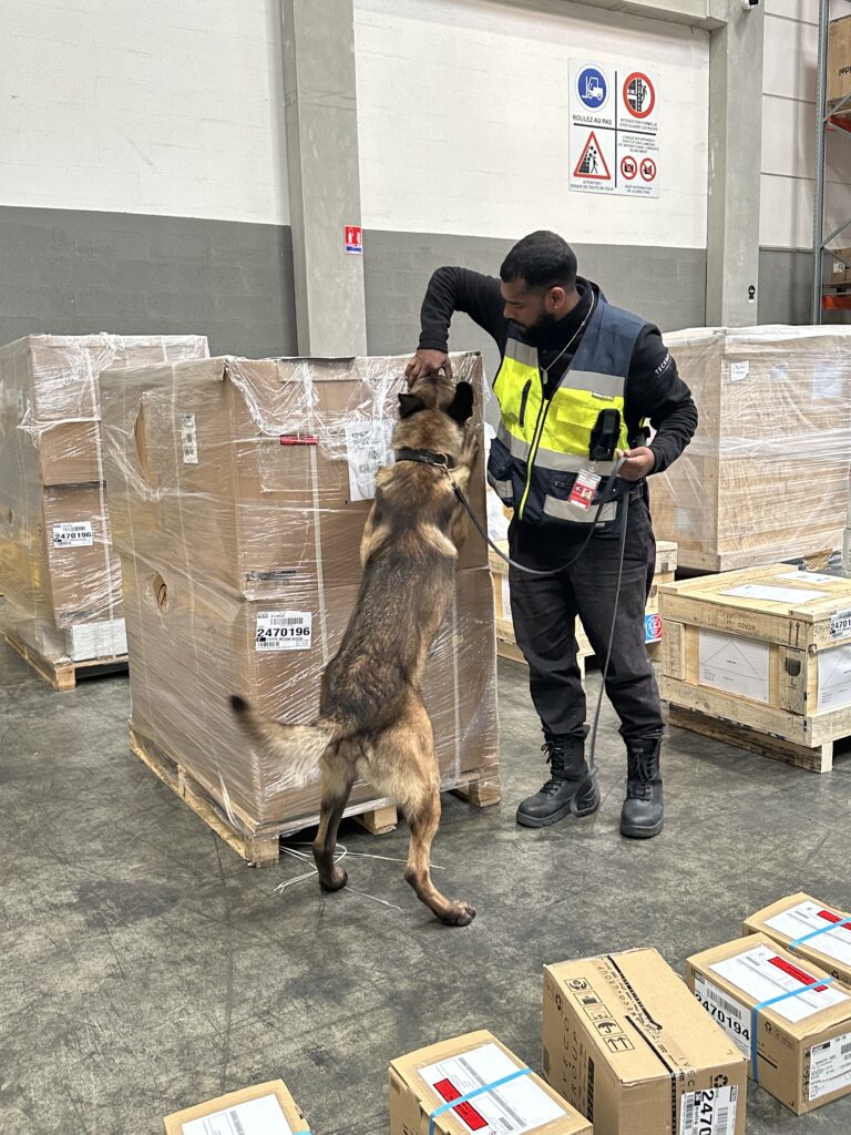 Nos expertises | Securus